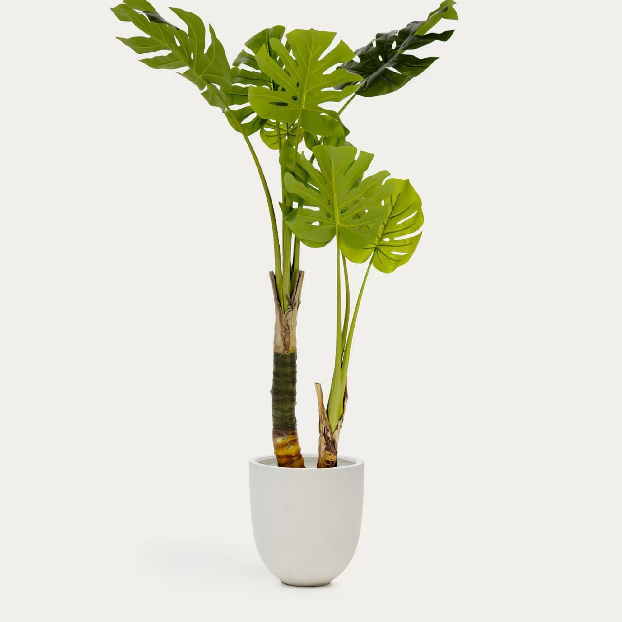 Umjetna biljka Monstera